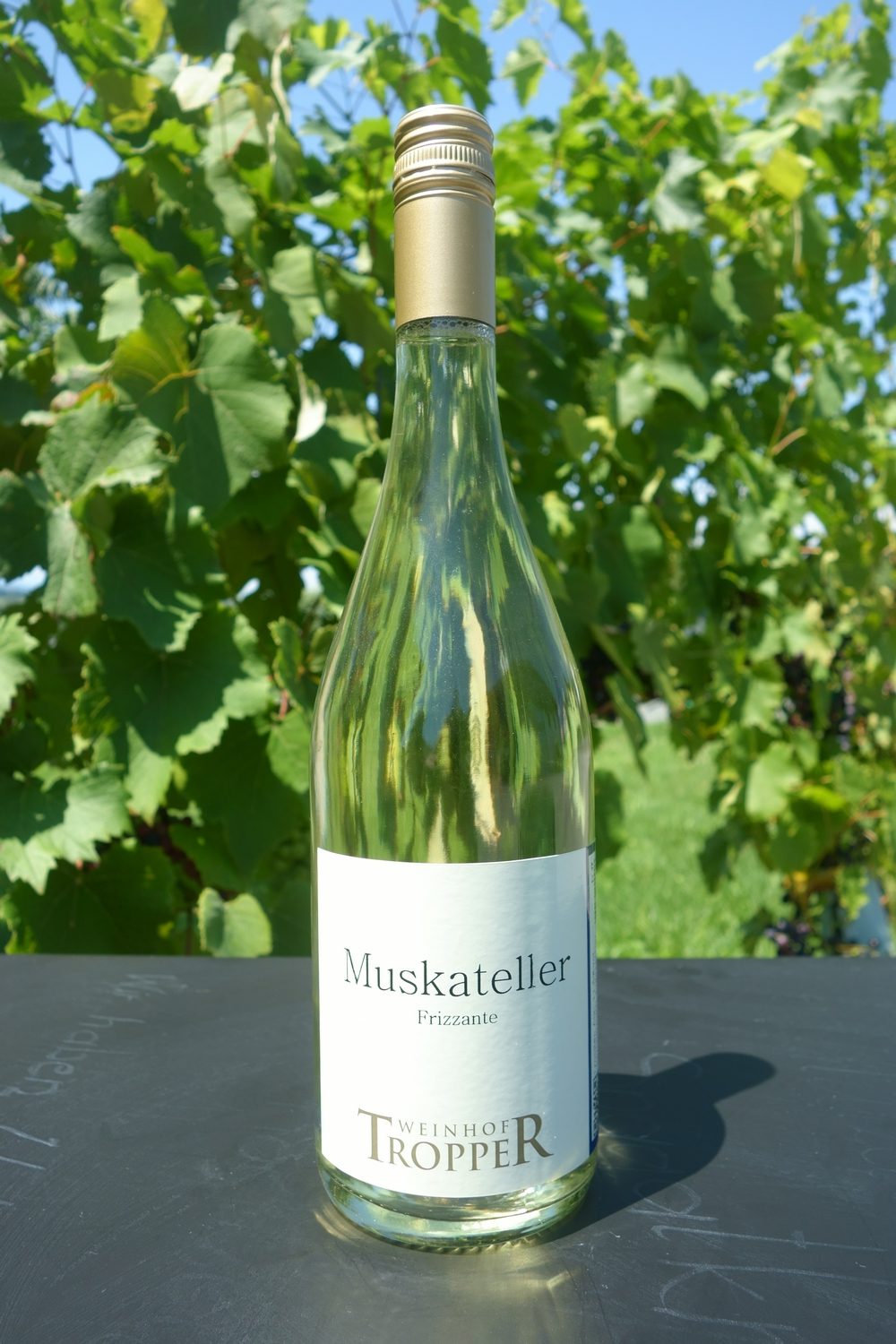 Wein – Muskateller „Frizzante“ – Weinbau Tropper